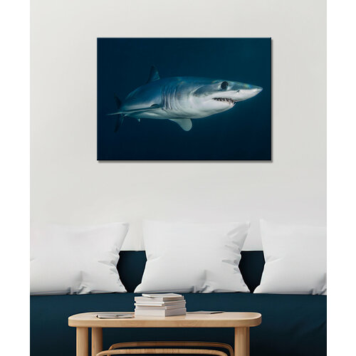 Картина -Акула, синяя акула, акула в море, акула в океане (1) 40х60