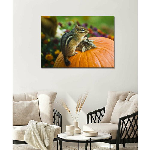Картина - Бурундук, бурундучок, полосатый бурундук на тыкве, бурундук и осень (17) 20х30