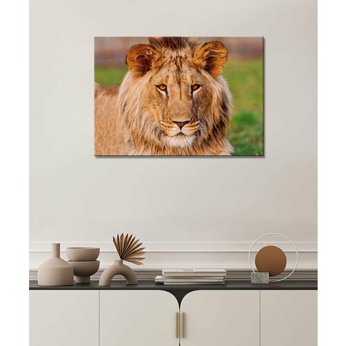 Картина - Лев, лев царьз верей, красивый лев, грива льва (43) 30х40