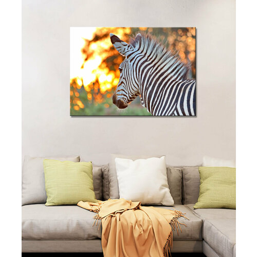 Картина - Зебра, полосатая зебра, красивая зебра, зебра в Африке (9) 50х70