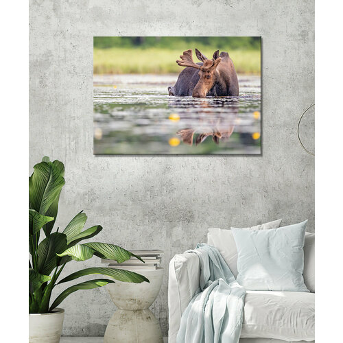 Картина -Лось, лось в воде, сохатый лось (3) 40х60