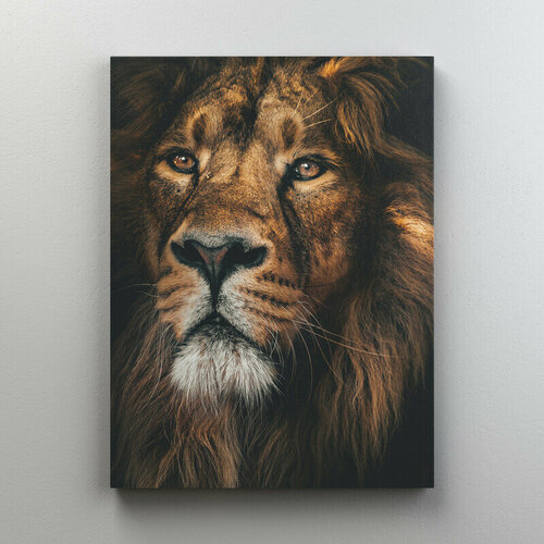 Интерьерная картина на холсте "Лев - царь зверей" размер 22x30 см