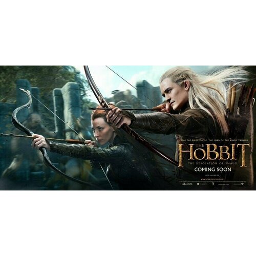 Плакат, постер на бумаге Хоббит: Пустошь Смауга (The Hobbit The Desolation of Smaug), Питер Джексон. Размер 21 х 30 см