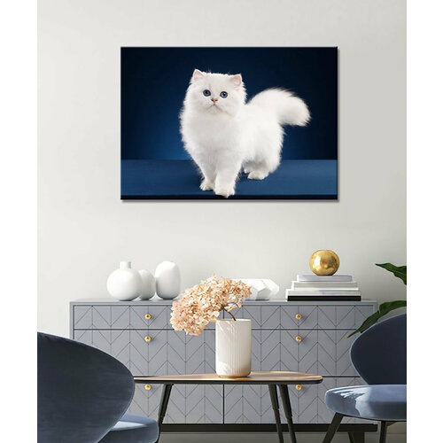 Картина - кошка, персидская кошка, домашняя кошка, ласковая кошка, кот (312) 40х60