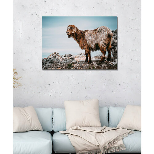 Картина - Козел, коза, дикий козел, рогатый козел, горный козел (34) 50х70