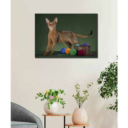 Картина - кошка, абиссинская кошка, древняя кошка, домашняя кошка, ласковая кошка, кот (170) 30х40