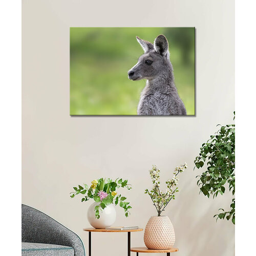 Картина - кенгуру, серый кенгуру, маленький кенгуру, кенгуру на природе (11) 40х60