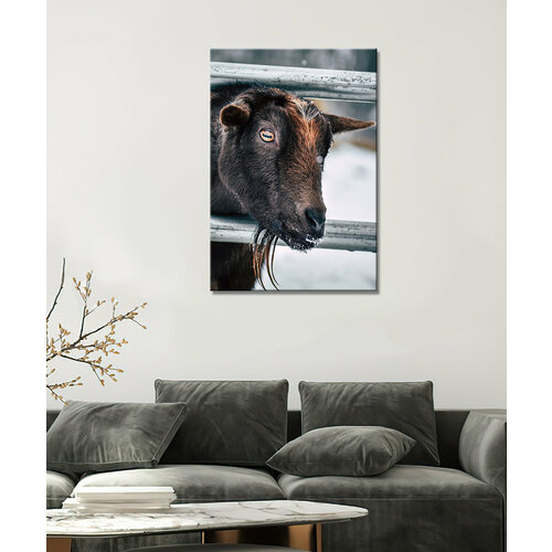 Картина - Коза, козел, безрогая коза, домашняя коза (9) 20х30