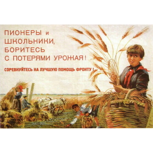 Плакат, постер на бумаге пионеры и школьники, боритесь с потерями урожая/советский/СССР. Размер 30 х 42 см