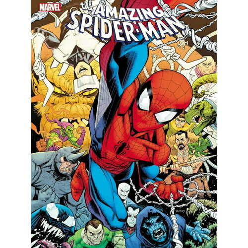 Плакат, постер на холсте The Amazing Spider Man/Человек Паук/комиксы/мультфильмы. Размер 60 х 84 см