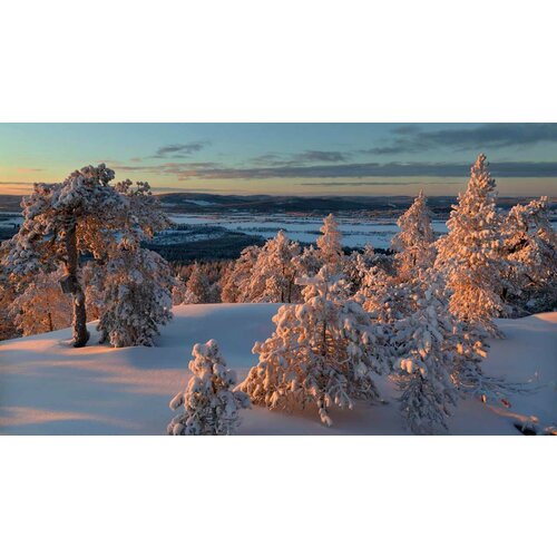 Картина на холсте 60x110 Альянс Лес "Зима лес Финляндия Finland" на подрамнике / интерьер/ декор