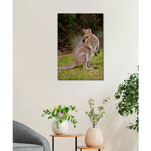 Картина - кенгуру, маленький кенгуру, кенгуру на траве, малыш кенгуру (13) 50х70