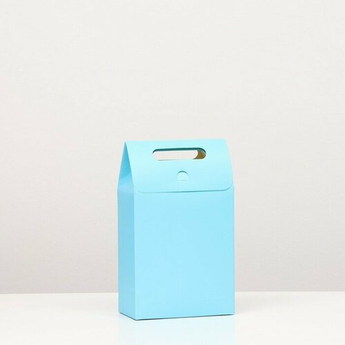 Коробка-пакет с ручкой, голубая, 27 х 16 х 9 см (2 штуки)