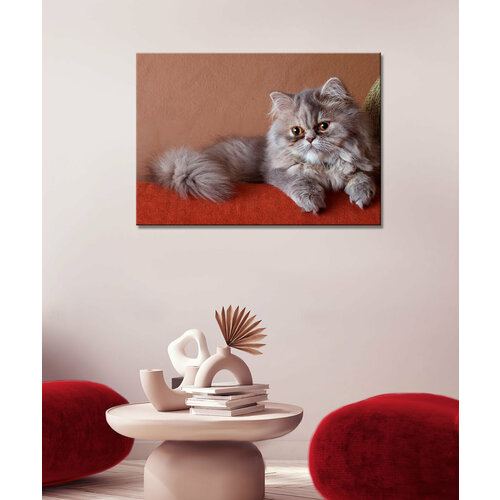 Картина - кошка, персидская кошка, домашняя кошка, ласковая кошка, кот (294) 20х30