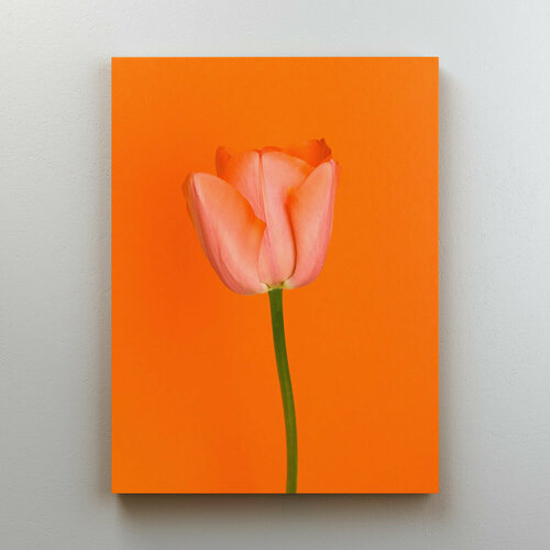Интерьерная картина на холсте "Тюльпан на оранжевом фоне" растения, размер 30x40 см