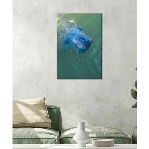 Картина -Ламантин, морская корова, ламантин в воде (11) 20х30