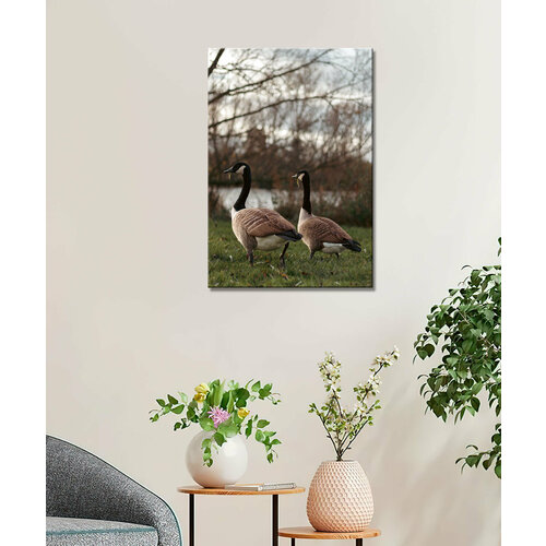Картина - Два гуся, гусь казарка, дикие гуси, серые гуси на поляне (33) 60х80