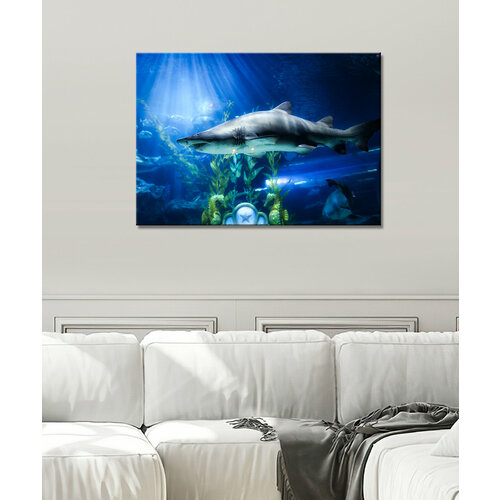 Картина -Акула, синяя акула, акула в море, акула в океане (2) 20х30