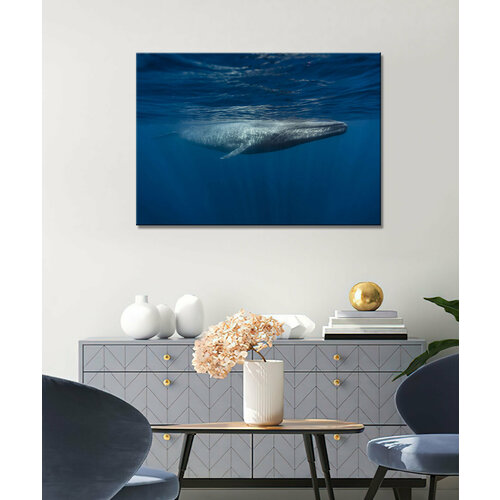 Картина - кит, синий кит, кит в океане, огромный кит, кит в воде (1) 50х70