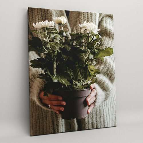 Картина на холсте (интерьерный постер) "Комнатные растения - хризантема", с деревянным подрамником, размер 45x60 см