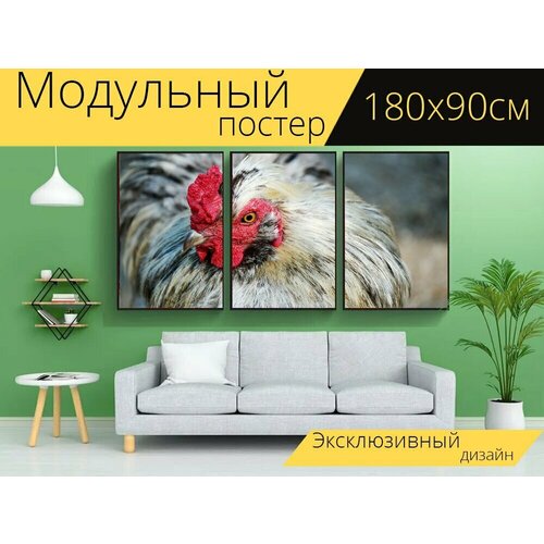 Модульный постер "Курица, птица, hen" 180 x 90 см. для интерьера