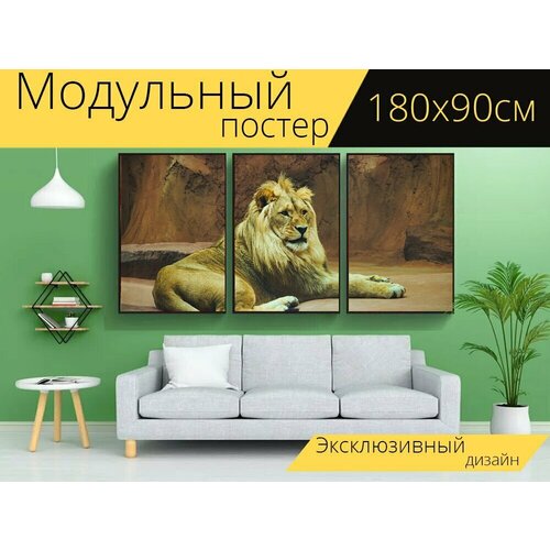 Модульный постер "Лев, мужской, большой кот" 180 x 90 см. для интерьера