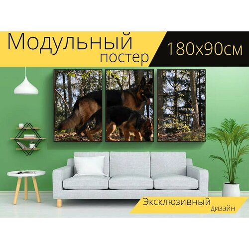 Модульный постер "Немецкая овчарка, лес, собака" 180 x 90 см. для интерьера