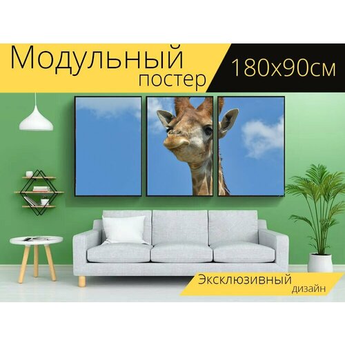 Модульный постер "Жирафа, голова, портрет" 180 x 90 см. для интерьера
