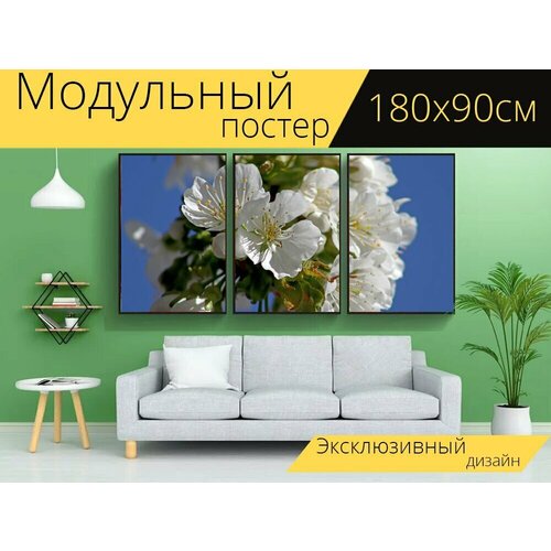 Модульный постер "Вишня, цвести, белый" 180 x 90 см. для интерьера