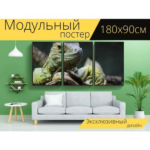 Модульный постер "Ящерица, бородатая агама, рептилия" 180 x 90 см. для интерьера