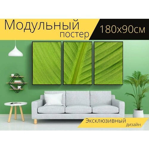 Модульный постер "Банана лиф, лист, банан" 180 x 90 см. для интерьера