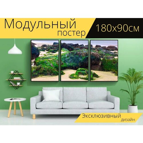 Модульный постер "Алгея, горные породы, морской мох" 180 x 90 см. для интерьера