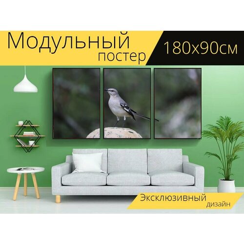 Модульный постер "Пересмешник, птица, фонтан" 180 x 90 см. для интерьера