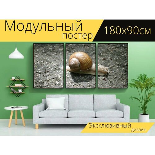 Модульный постер "Улитка, раковина, медленный" 180 x 90 см. для интерьера
