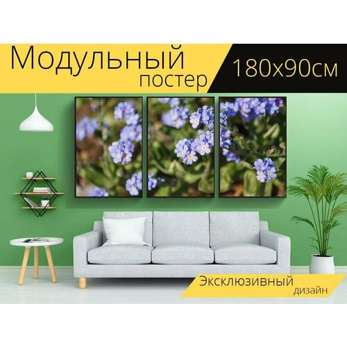 Модульный постер "Синий, весенний цветок, незабудка" 180 x 90 см. для интерьера