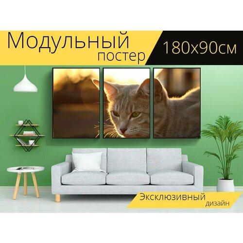 Модульный постер "Кот, морда кошки, свет" 180 x 90 см. для интерьера