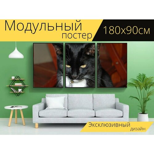 Модульный постер "Черный кот, кошка, одомашненный" 180 x 90 см. для интерьера
