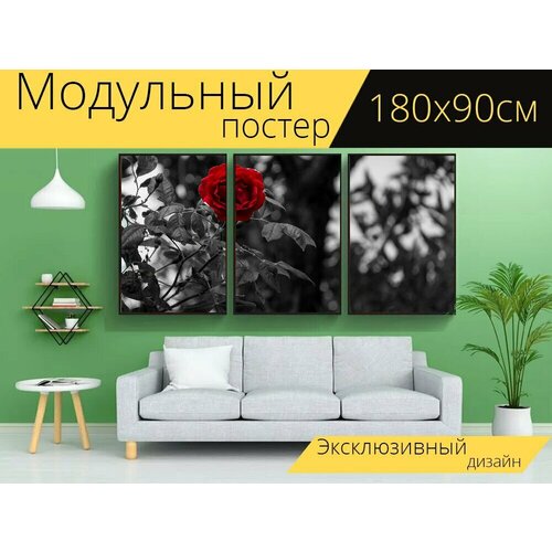 Модульный постер "Чернобелый, роза, цветок" 180 x 90 см. для интерьера