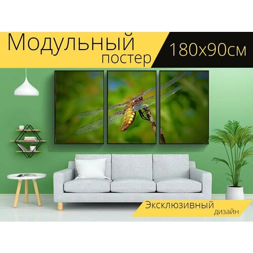 Модульный постер "Стрекоза, насекомое, красота природы" 180 x 90 см. для интерьера