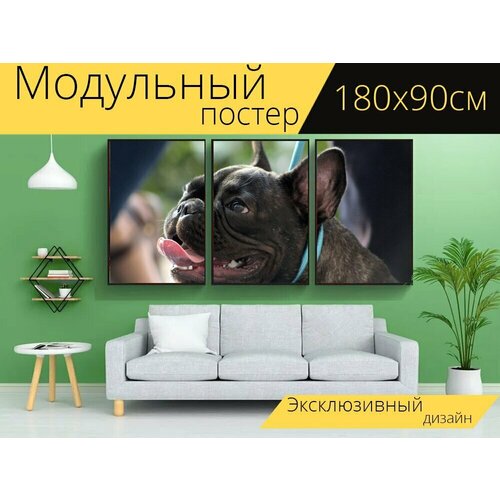 Модульный постер "В восторге, счастливая собака, класс собака" 180 x 90 см. для интерьера