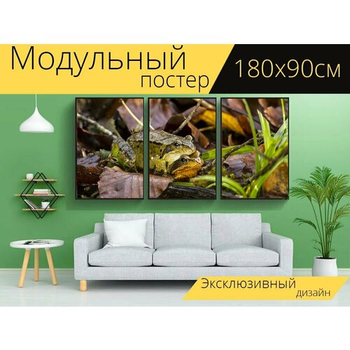 Модульный постер "Лягушка, спаривание, природа" 180 x 90 см. для интерьера