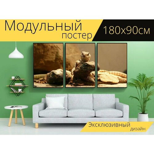 Модульный постер "Ящерицы, рептилии, животные" 180 x 90 см. для интерьера