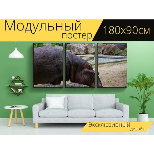 Модульный постер "Бегемот, бегемот амфибий, млекопитающее" 180 x 90 см. для интерьера