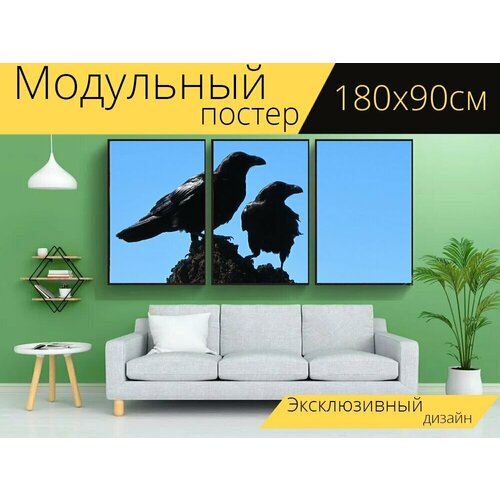 Модульный постер "Птицы, ворона, чернить" 180 x 90 см. для интерьера