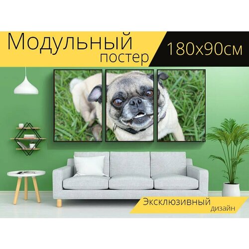Модульный постер "Мопс, щенок, животное" 180 x 90 см. для интерьера
