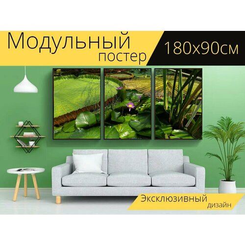 Модульный постер "Гигантская кувшинка, цветок, ботанический сад" 180 x 90 см. для интерьера
