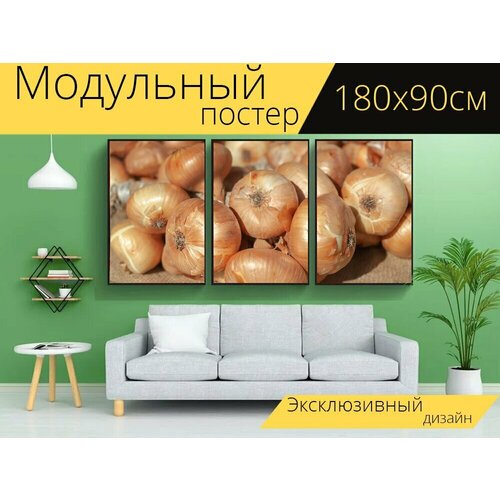 Модульный постер "Лук, рынок, овощи" 180 x 90 см. для интерьера