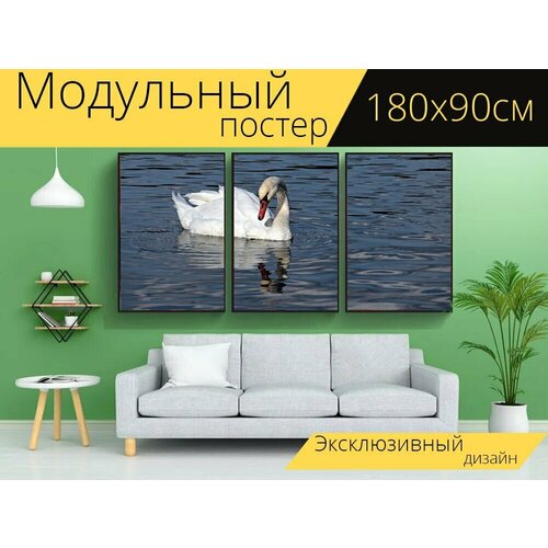 Модульный постер "Лебедь, вода, природа" 180 x 90 см. для интерьера