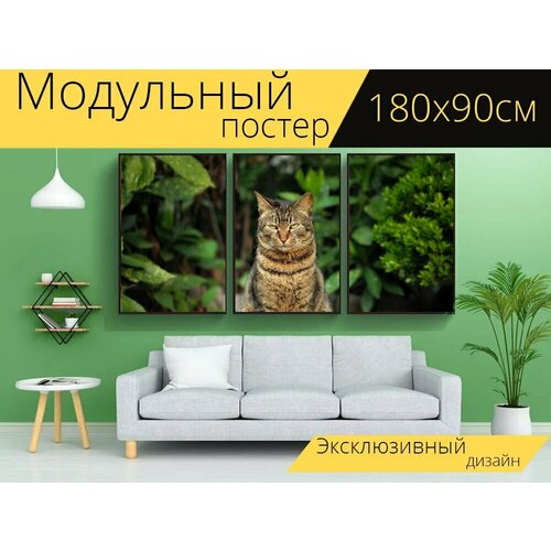 Модульный постер "Смешные кошки, домашний питомец, кот" 180 x 90 см. для интерьера