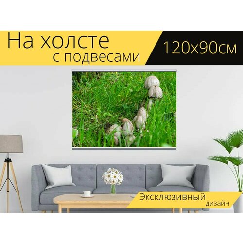 Картина на холсте "Трава, гриб, природа" с подвесами 120х90 см. для интерьера